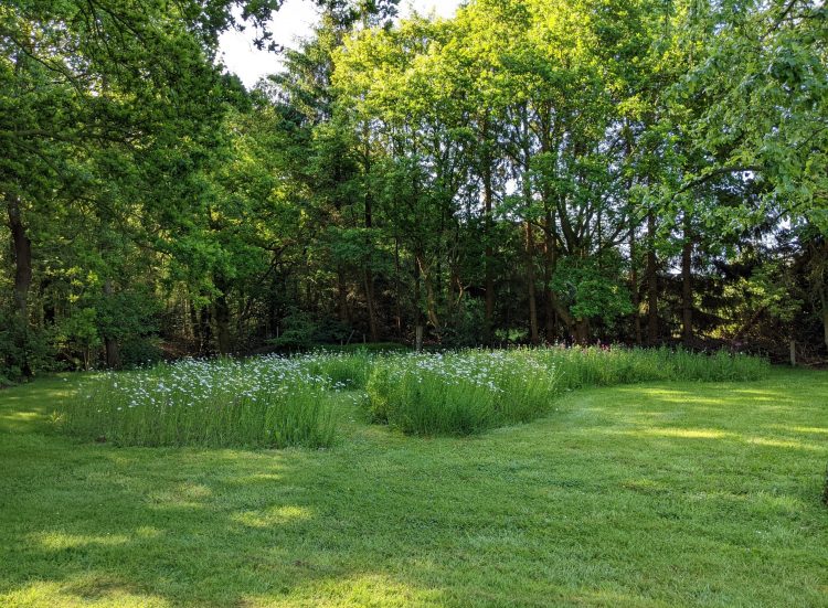 Wilde bloemenweide (privétuin) - Tuinontwerp Groningen, Friesland en ...